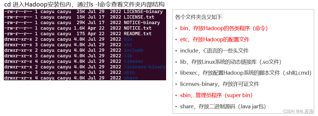 VMware虚拟机集群上部署HDFS集群_虚拟机安装hdfs-CSDN博客