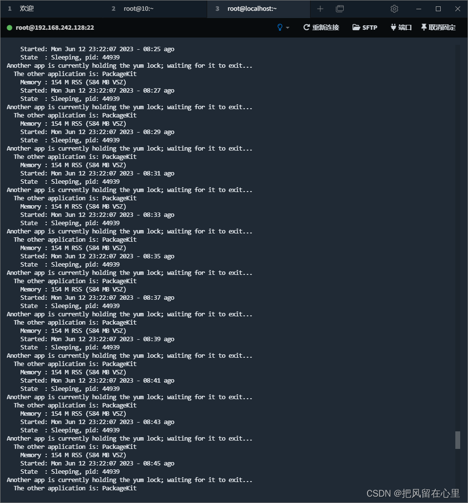 Another app is currently holding the yum lock； waiting for it to exit... The other application ...
