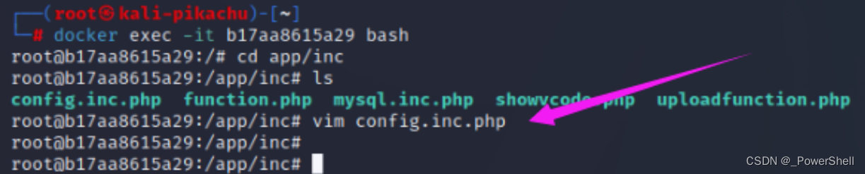 [ 靶场环境片 ] kali-linux采用Docker 搭建 pikachu（特别详细）_kali pikachu安装教程-CSDN博客