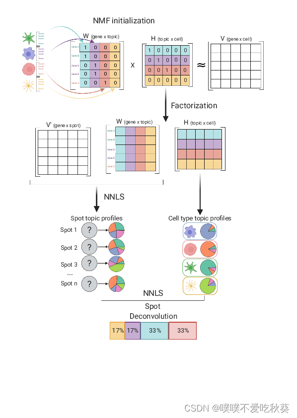 空间转录组整合方法SPOTlight_空间转录组 spotlight-CSDN博客