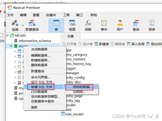 navicat 将数据库打包成.sql文件_navicate数据打包-CSDN博客