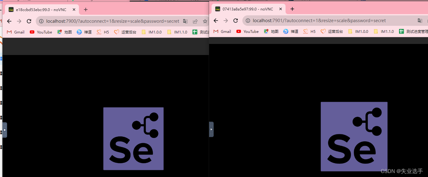 docker+selnium grid+python+VNC实现多线程UI自动化(安装教程二)_seleinum vnc-CSDN博客