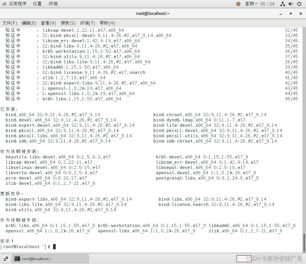 DNS服务搭建_dns服务器搭建-CSDN博客