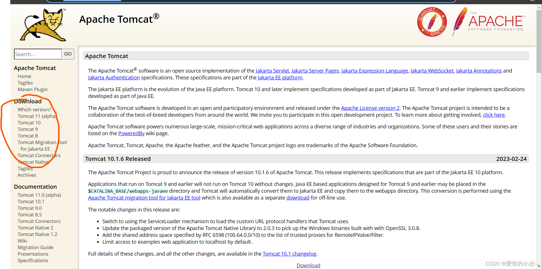 Java Web 创建项目 及 tomcat配置安装_搭建web项目需要配置tomcat的环境变量吗-CSDN博客