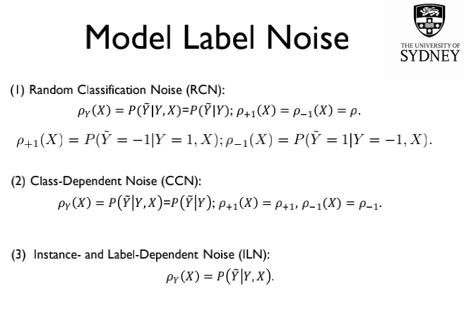 5328笔记 Advanced ML Chapter9-Learning with Noisy Data II: Label Noise_什么是lable noise-CSDN博客