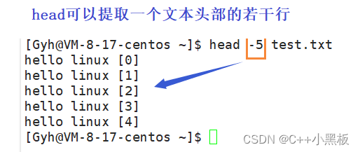 Linux基本操作入门2_rm -ef-CSDN博客
