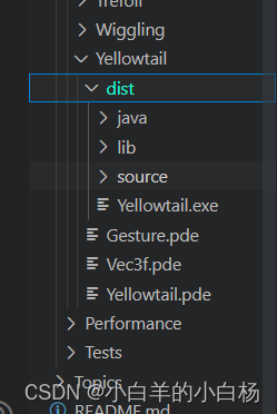 使用vscode 编辑运行processing代码_vscode processing-CSDN博客