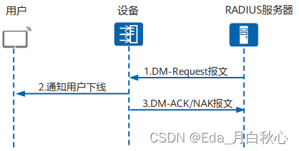 RADIUS CoA/DM功能简介_coa报文-CSDN博客