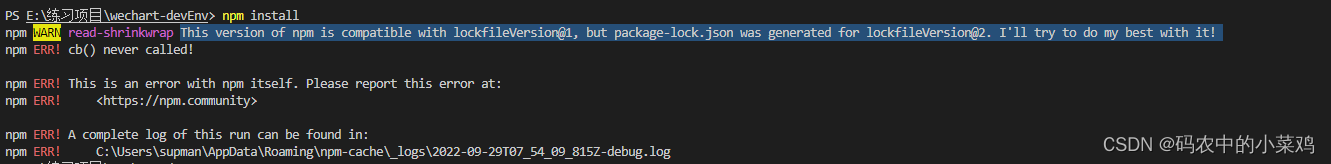 记录一次npm install 报错_lockfileversion-CSDN博客