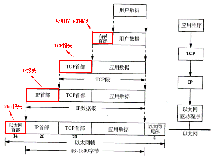 Linux网络编程四 协议04：数据包封装【不同层数据包称谓：①传输层tcpudp：段（segment）；②网络层ip：数据报（datagram）；③链路层mac：帧 