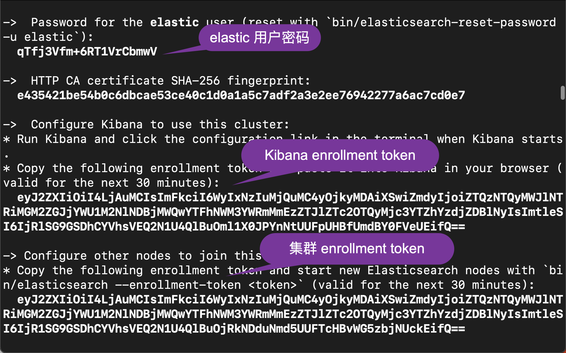 Elasticsearch: Create a cluster of multiple nodes - Elastic Stack 8.0 ...