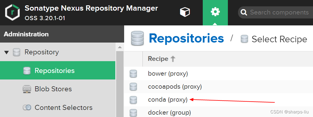 内网Nexus代理Conda源+服务器配置_nexus配置代理-CSDN博客