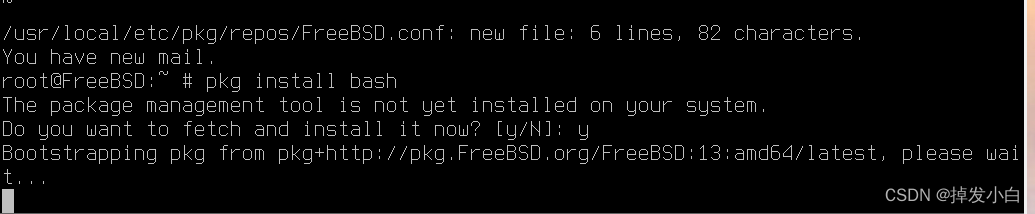 【三、FreeBSD桌面(x windos)的安装步骤】（基于FreeBSD系统安装好的基础之上_freebsd安装图形界面-CSDN博客