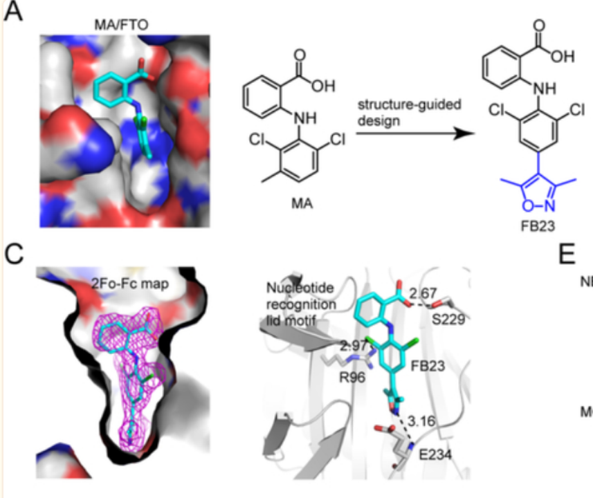 浅谈RNA甲基化研究思路_m6a 和 r-loop-CSDN博客