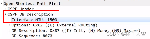 OSPF篇——影响OSPF邻居建立的因素——004-CSDN博客
