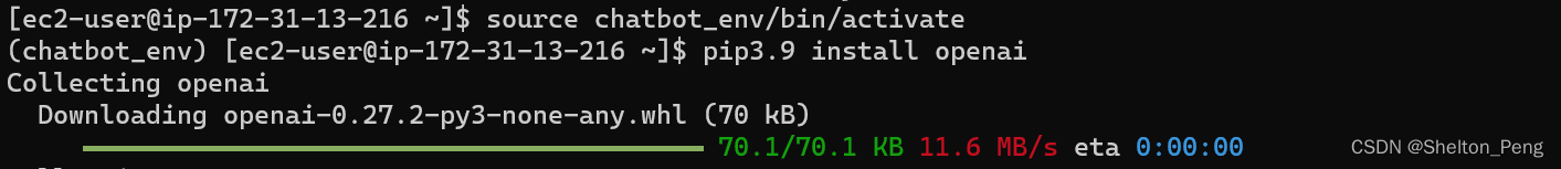 在AWS EC2上运行Python Scripts_ec2 安装 python-CSDN博客
