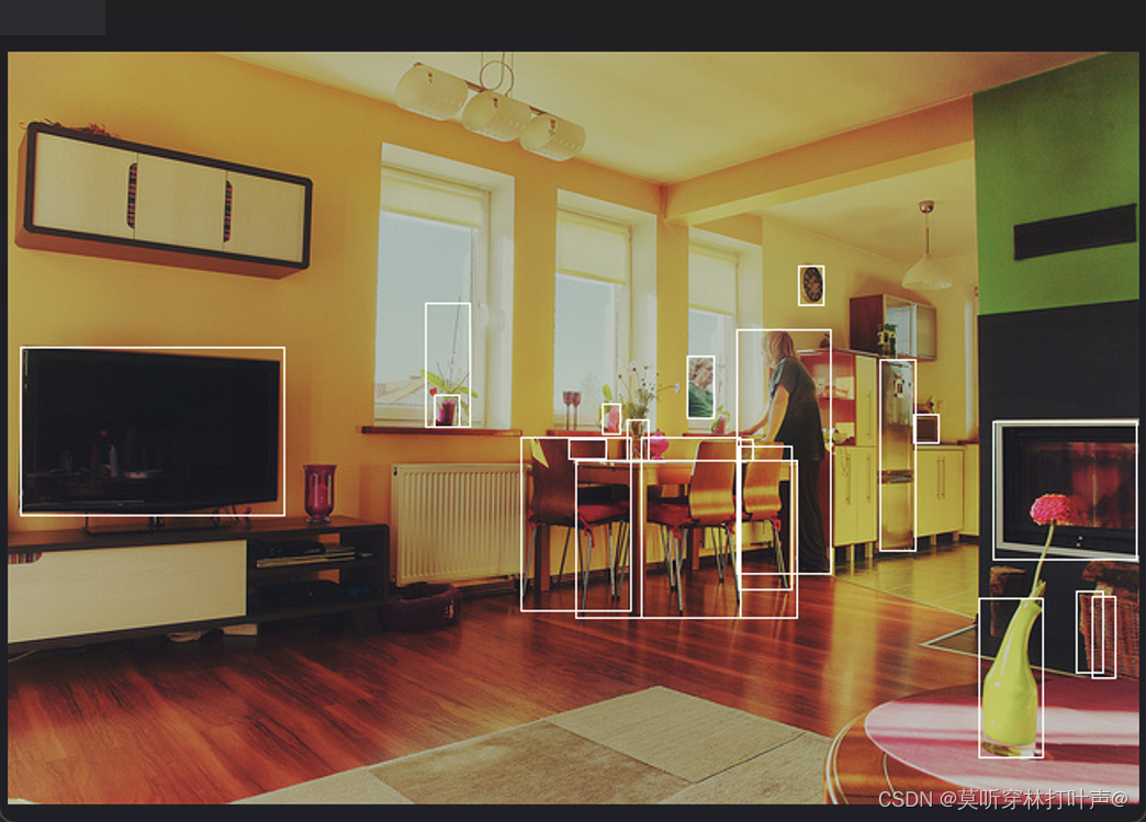 目标检测（3）—— 如何使用PyTorch加载COCO类型的数据集_torchvision.datasets.cocodetection-CSDN博客