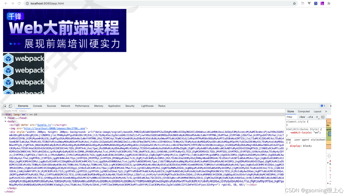 webpack5最基础的教程第二篇【开发服务器 资源模块】_webpack-dev-server5.0-CSDN博客