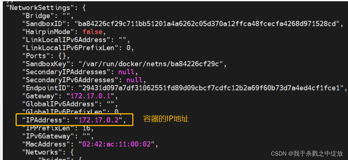 Docker的容器管理操作_docker容器管理-CSDN博客