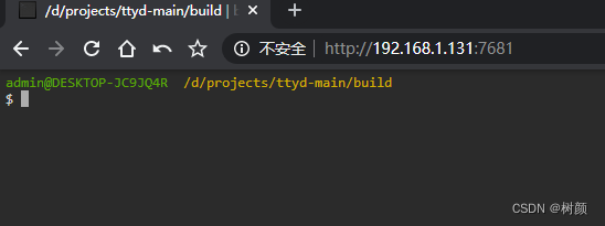 Windows安装ttyd（Web Terminal）_ttyd windows-CSDN博客