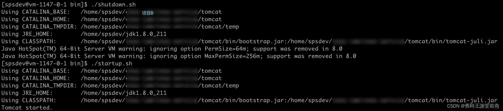 ERROR 10724 --- com.alibaba.druid.pool.DruidDataSource:{dataSource-2} init error【已解决】如何重启tomcat ...