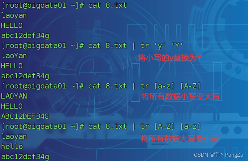 04-Linux06-shell（高级部分）_shell switch-CSDN博客