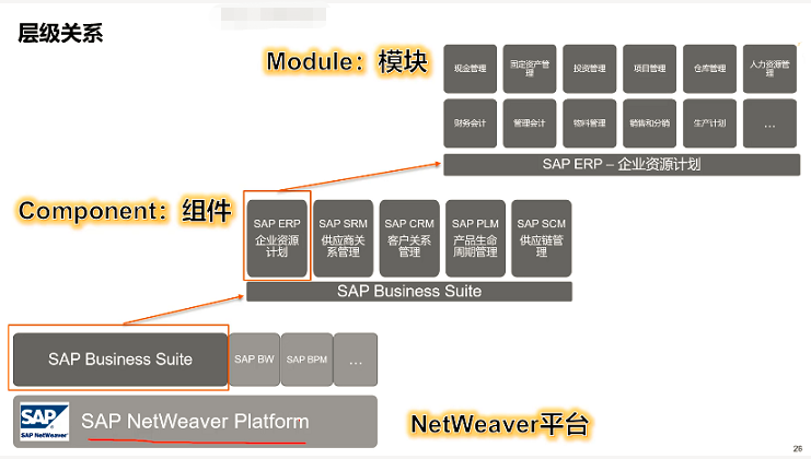 SAP ERP的版本演变基础知识_sap b1版本简介-CSDN博客