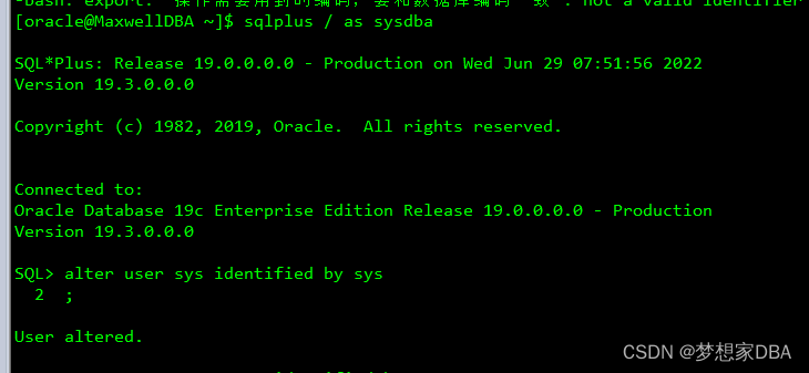 oracle 19c : change the user sys/system username pasword under Linux_oracle19c修改sys密码-CSDN博客