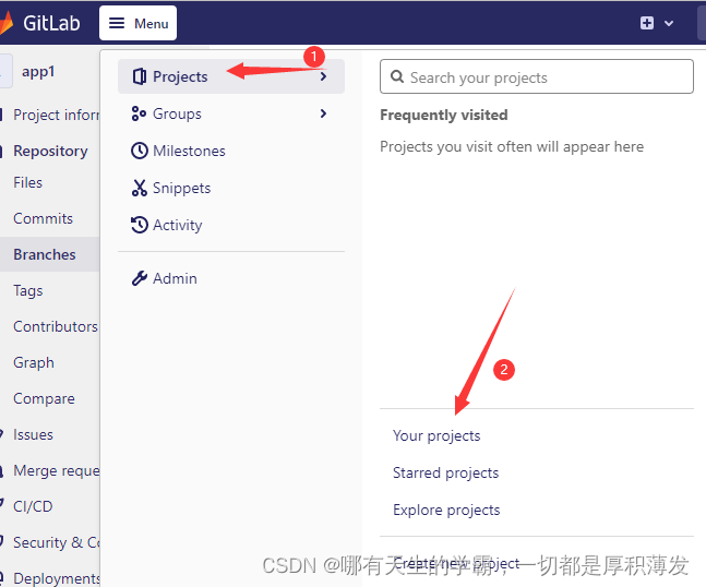 GitLab设置及取消保护分支_gitlab取消分支保护-CSDN博客