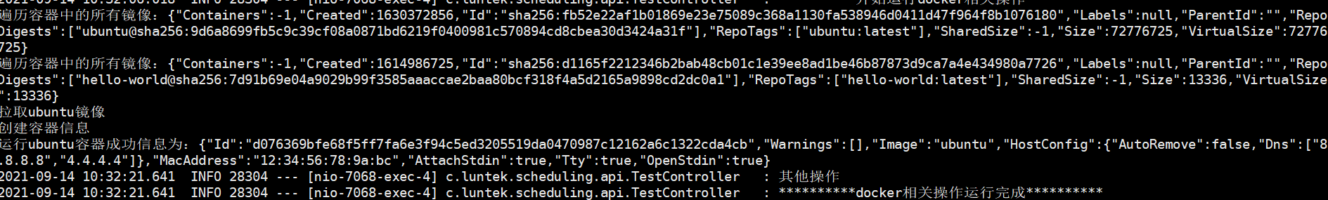 Java实现使用docker api实现镜像拉取，容器管理（docker-java-api）_用java 拉取docker镜像-CSDN博客