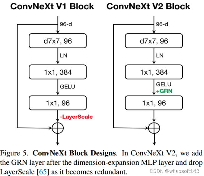 ConvNeXtV2_convnextv2 预训练-CSDN博客