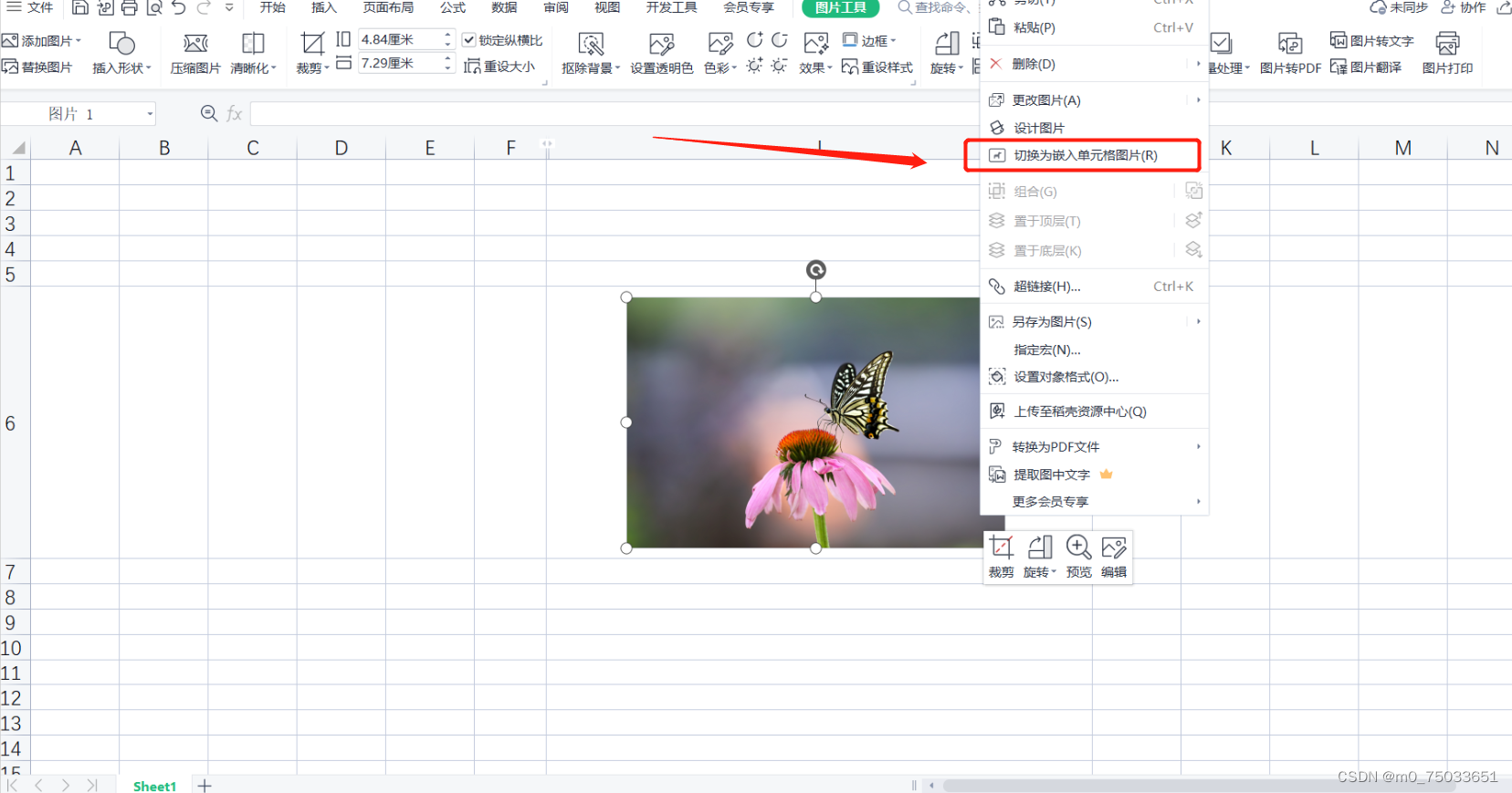WPS内嵌图片怎样使用Java获取图片？_wps图片导入 poi-CSDN博客