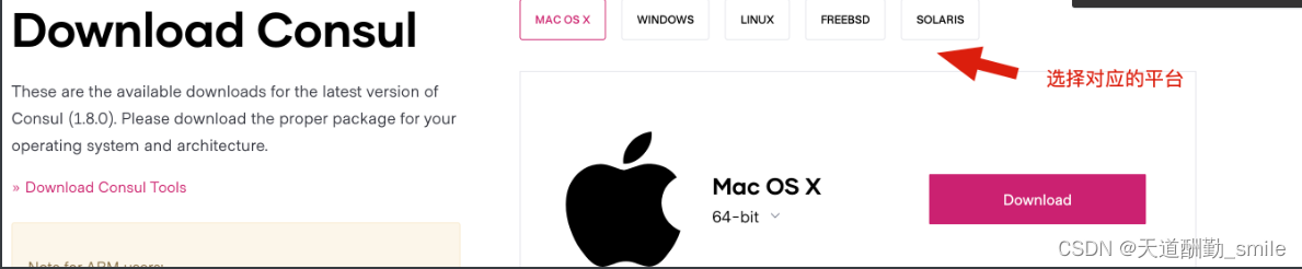 SpringCloud之服务注册中心Consul详细讲解_springcloud 配置consul参数-CSDN博客