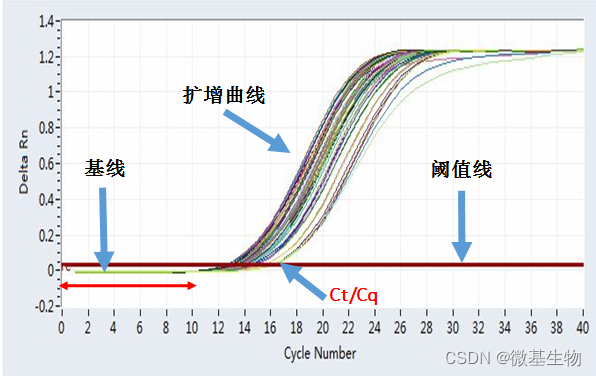 荧光定量PCR介绍-CSDN博客