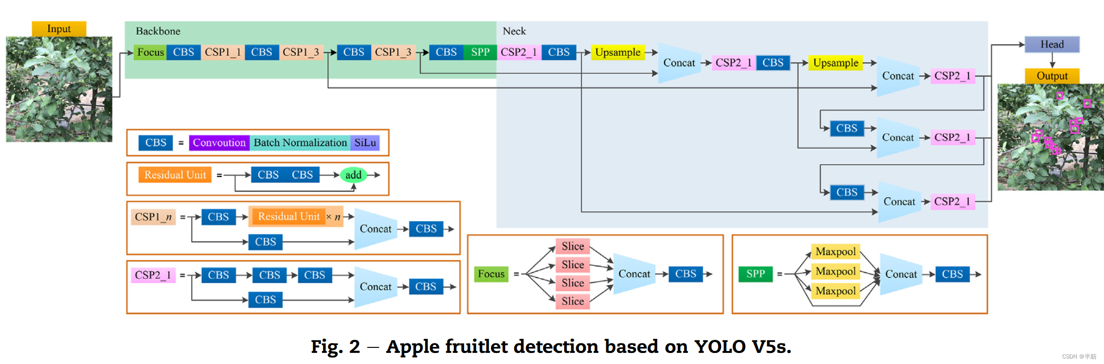 apple fruitlet detection （2021）苹果图像识别-CSDN博客