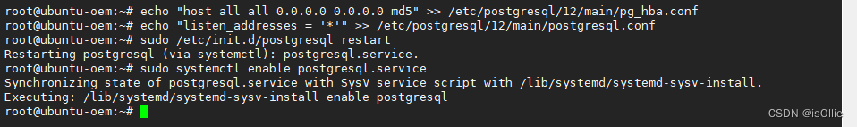 Linux ubuntu20.04 安装postgres并设置主从备份（图文教程）_linux 中 postgris 创建主从数据库备份-CSDN博客