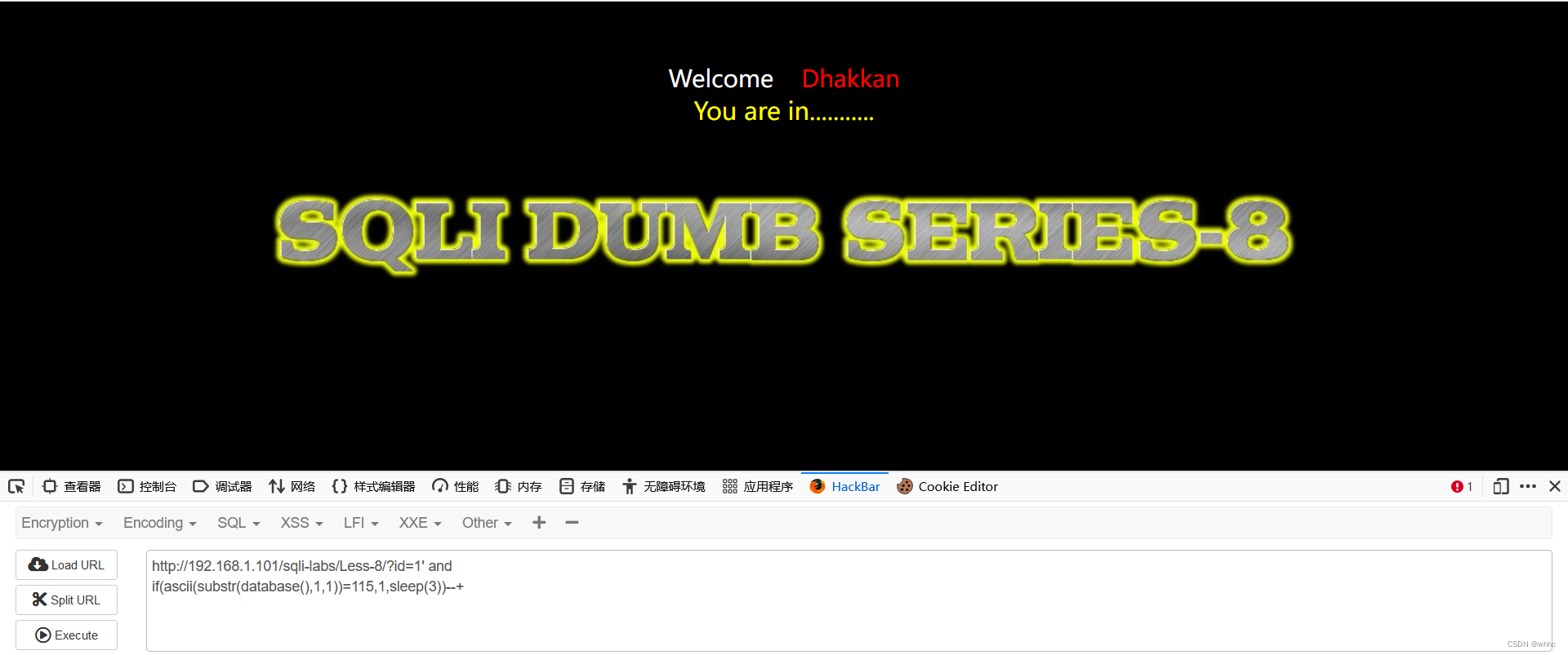 漏洞篇（SQL注入二）_mariadb 注入-CSDN博客