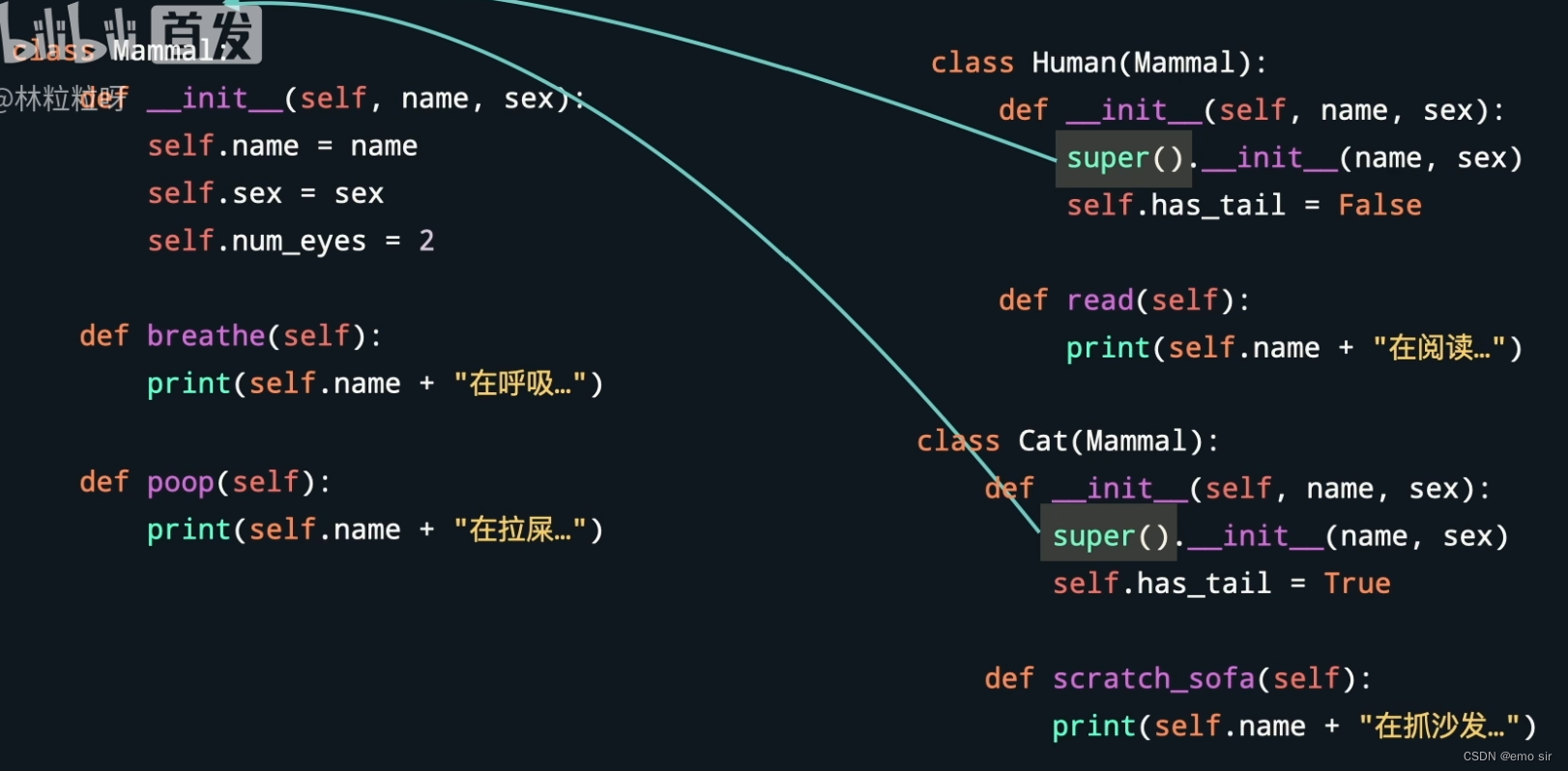 Python中的面向对象之继承 Csdn博客