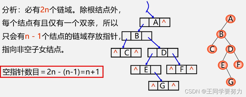 【408数据结构与算法】—树和二叉树（二十七）该三叉链表链表的所有结点中空指针的数目 Csdn博客