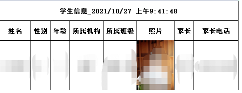 vue使用js-table2excel将数据导出Excel表格,含文字、图片类型, 设置表格样式/添加合并单元格-CSDN博客