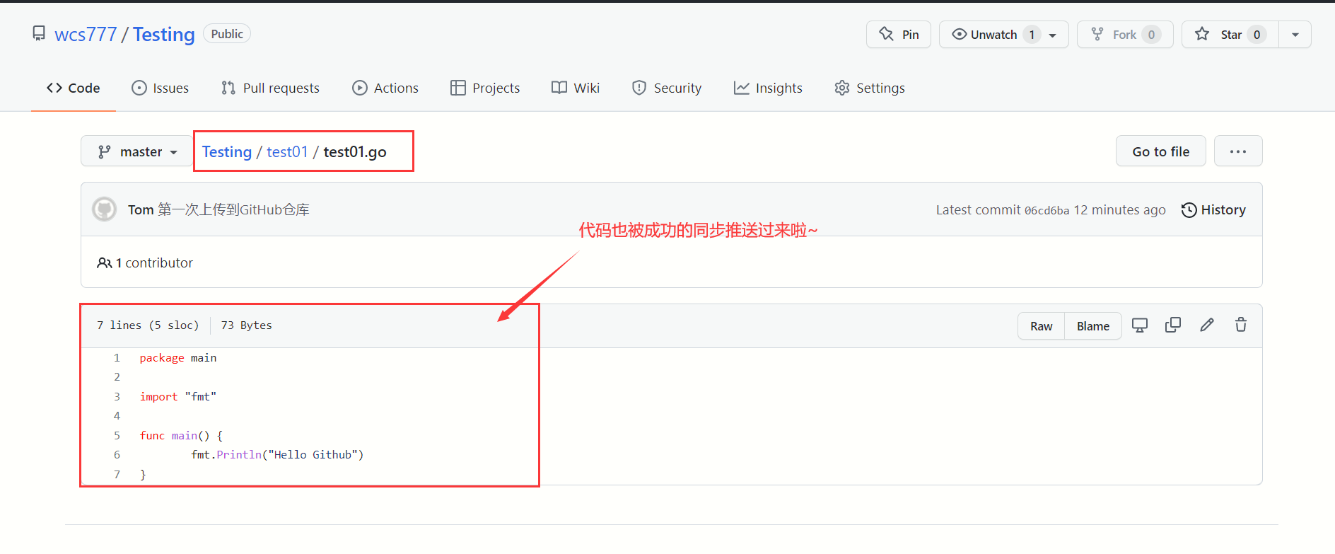 通过goland将本地项目上传到github详细步骤goland 20232 如何提交代码 Csdn博客 