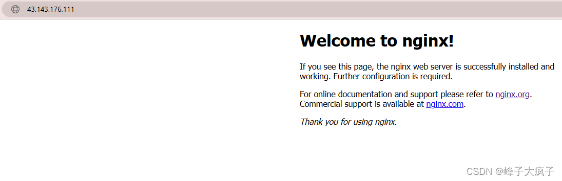 Nginx（一）nginx安装（linux） Nginx 1 25 Csdn博客
