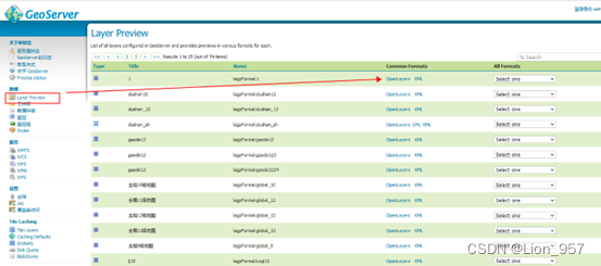 使用Docker部署GeoServer_docker geoserver-CSDN博客