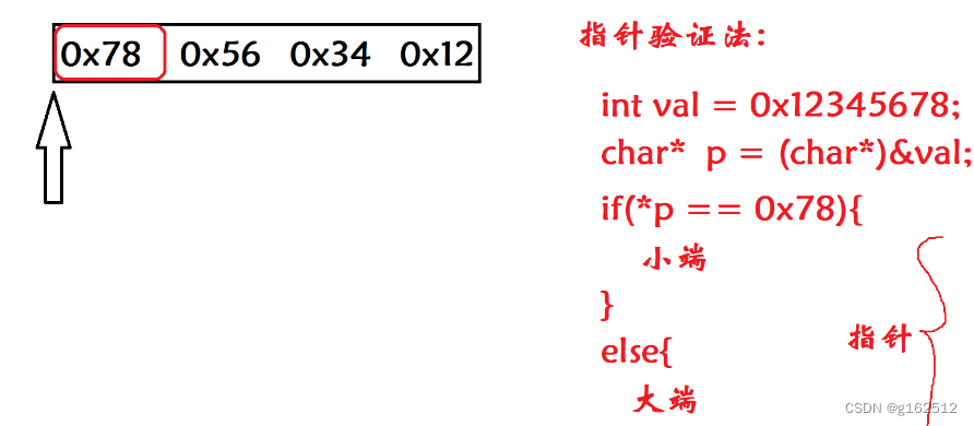 C语言,指针详解 Csdn博客