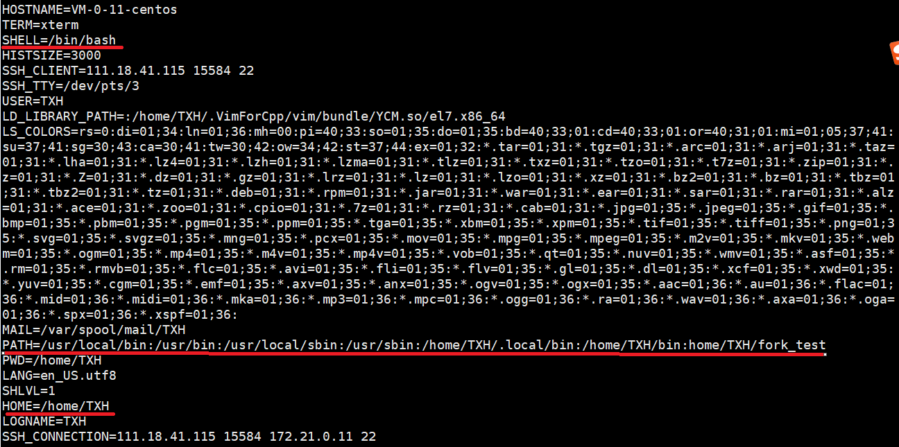 Linux 进程环境变量详解 Csdn博客 