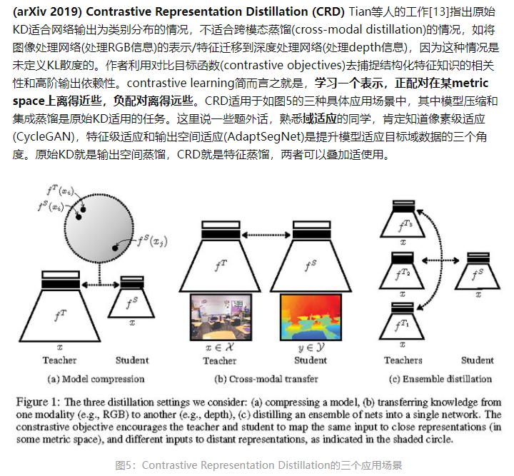 （DINO） Emerging Properties in Self-Supervised Vision Transformers——自监督ViT的新属性和几点思考-CSDN博客