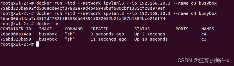 Docker网络 多机通信 2 Ipvlan笔记 Docker Ipvlan Csdn博客