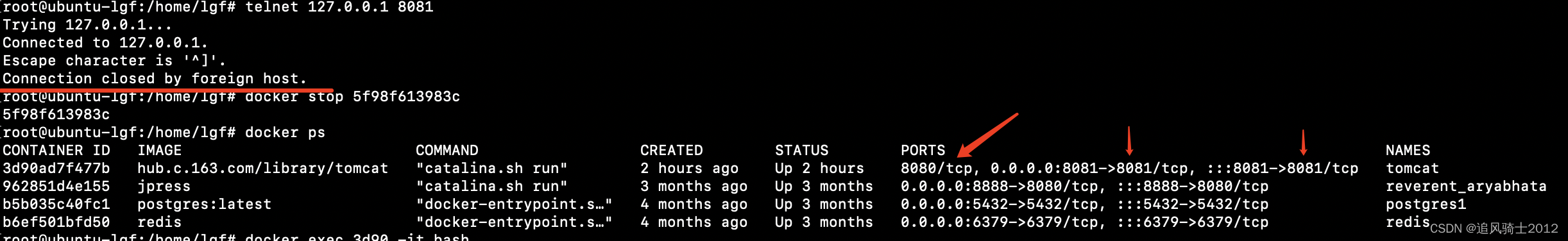 Docker 运行镜像后,telnet 出现connection Closed By Foreign Host或连接被重置 已解决