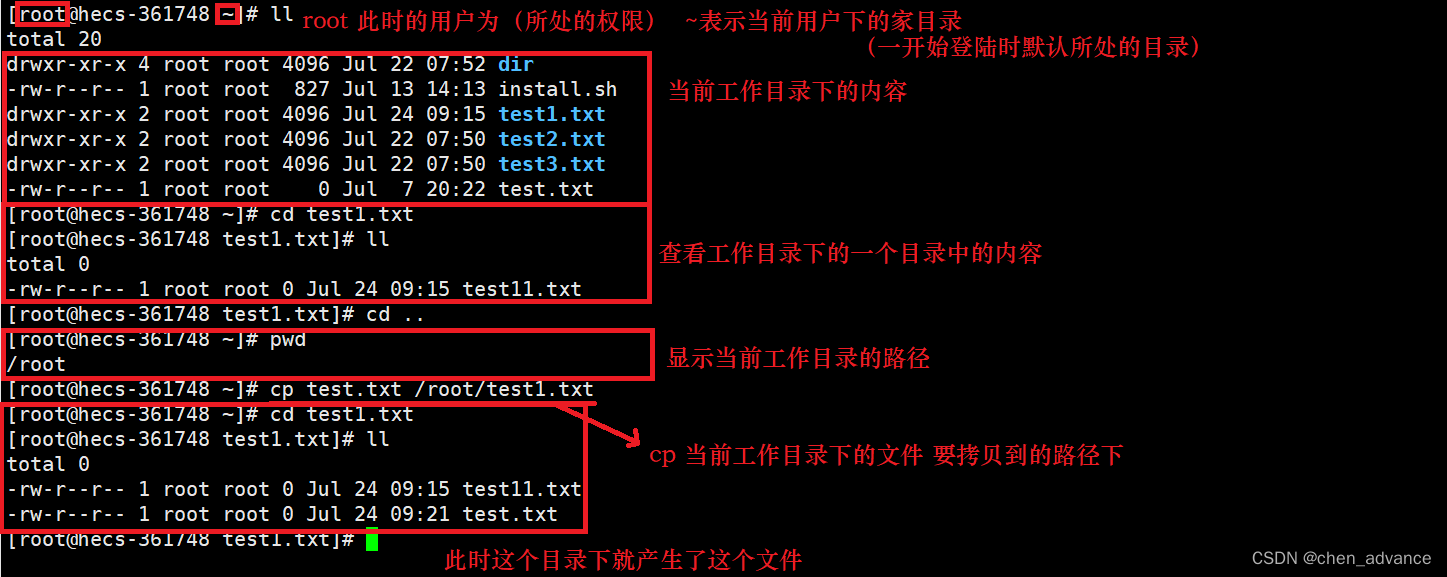 Linux 基础指令(2) Csdn博客