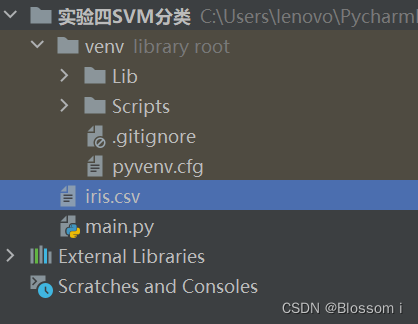 人工智能5：构建基于iris 数据集的 SVM 分类模型，含有 iris.csv_iris csv-CSDN博客